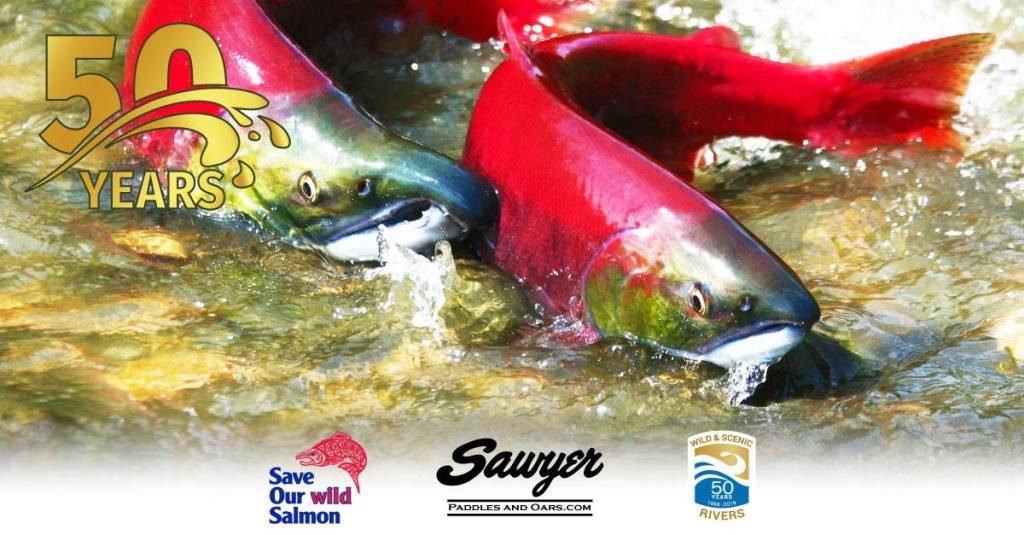 Artist Profiles – Ty Hallock, Sawyer Artisan Series Oars – Sawyer ...